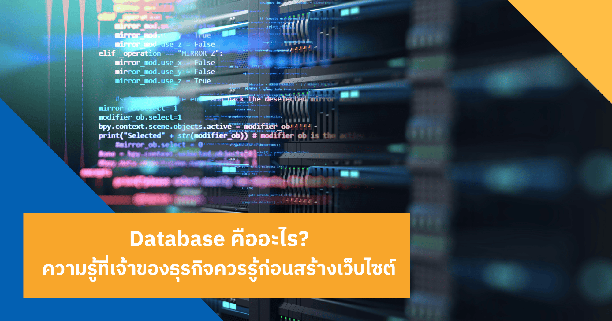 Database คืออะไร? ความรู้ที่เจ้าของธุรกิจควรรู้ก่อนสร้างเว็บไซต์ | VPS HiSpeed